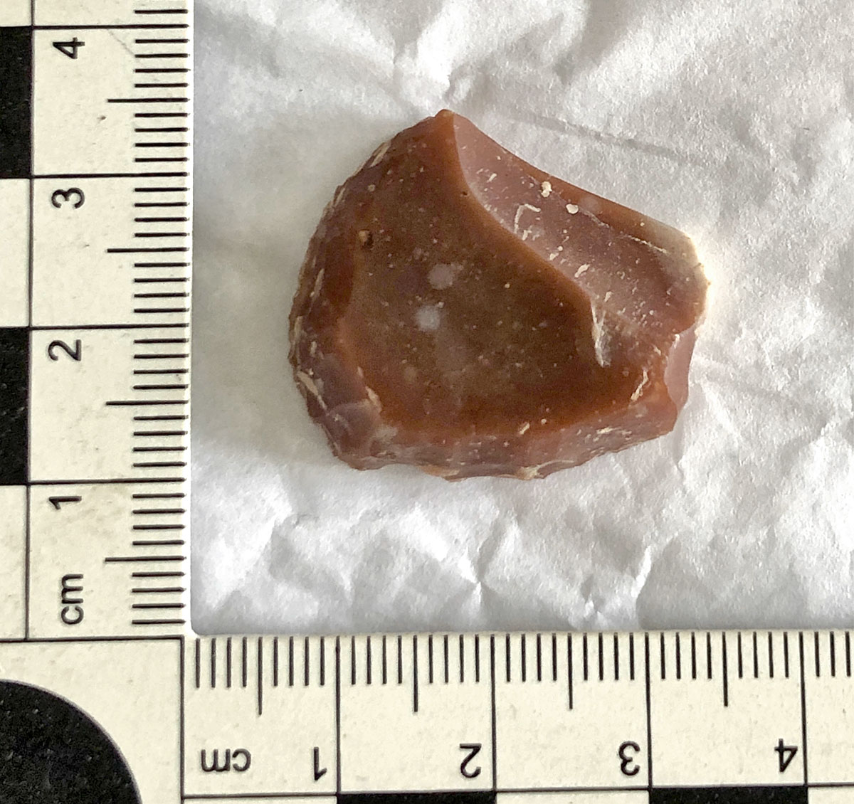 Closer view of the beautiful little flint scraper. (Sigurd Towrie ...