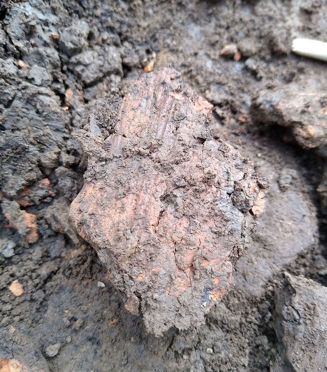 Incised pottery sherd in situ. (📷 Paul Durdin) – The Ness of Brodgar ...