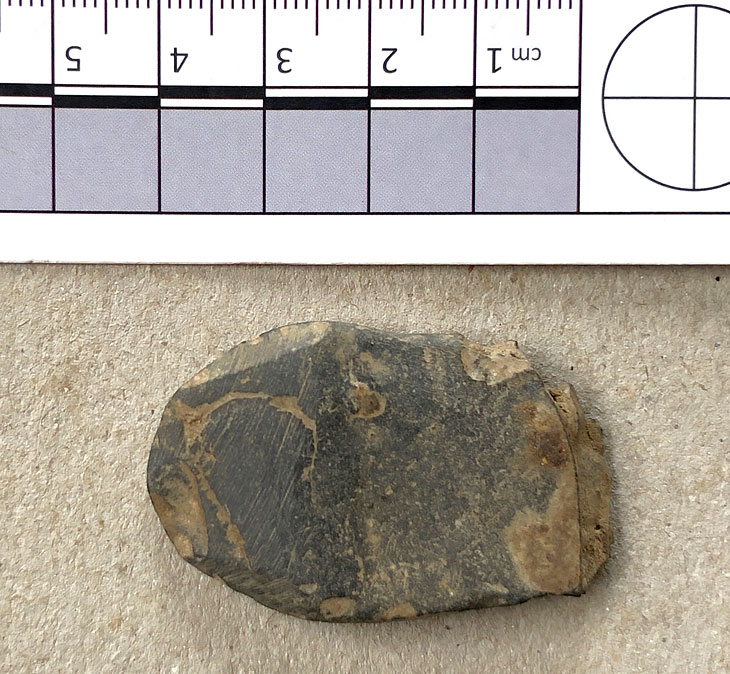 Dig Diary - Another deposit of wood, this time around Structure Twenty ...