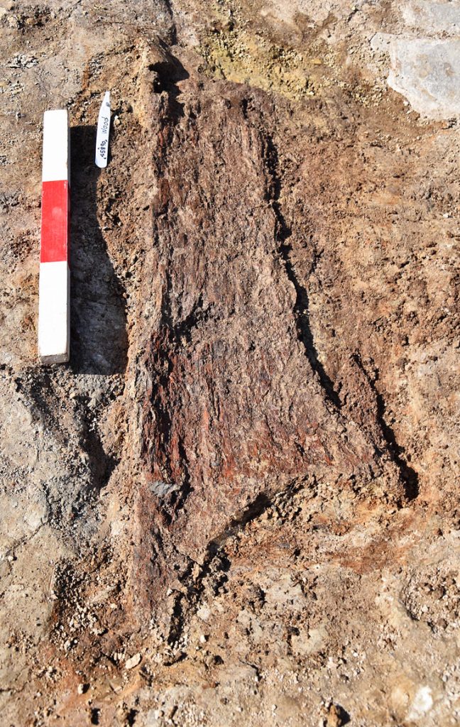 Dig Diary – Drones, bones and the latest on our Neolithic wooden plank ...