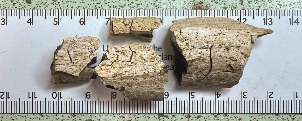 Burning issues - analysing the burnt bone from Structure Eight - The ...