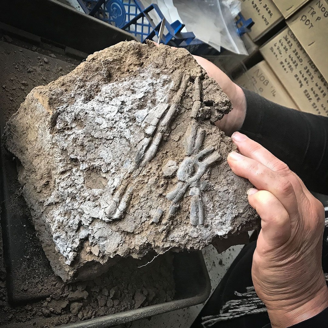 The Ness of Brodgar Project – Investigating a prehistoric complex in ...